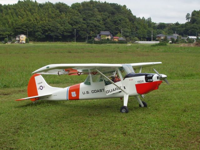 cessna L19