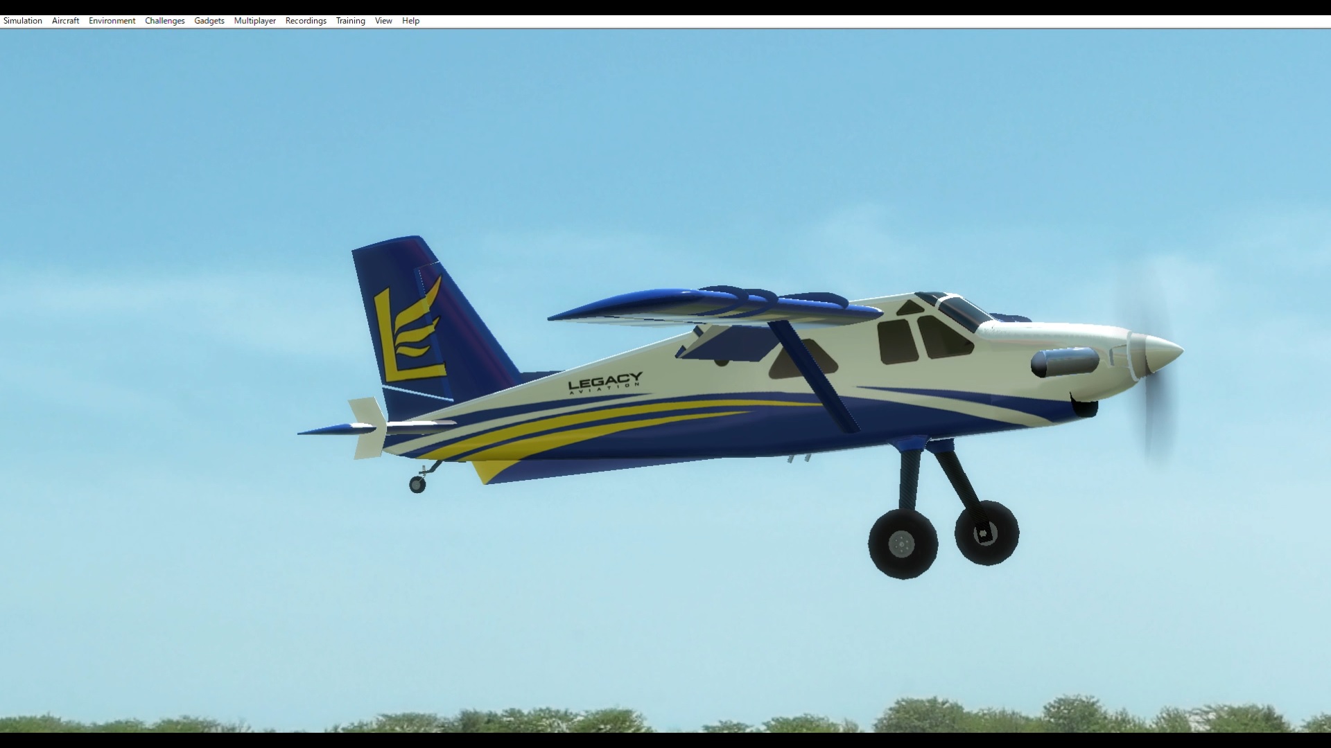 rf9 realflight hangar
